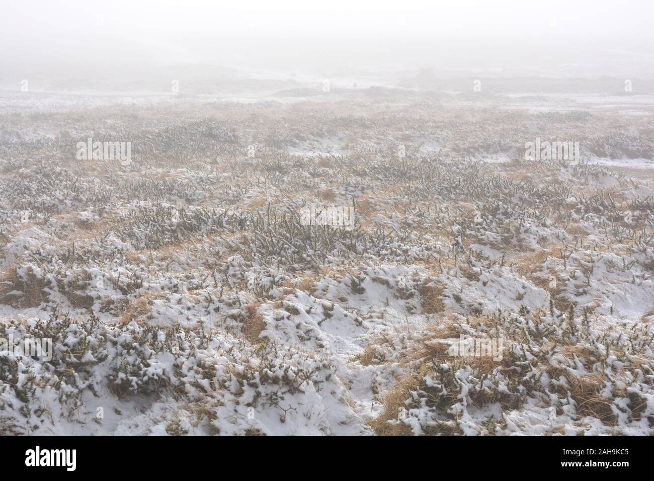 Misty moorland scenery hi-res stock photography and images - Alamy