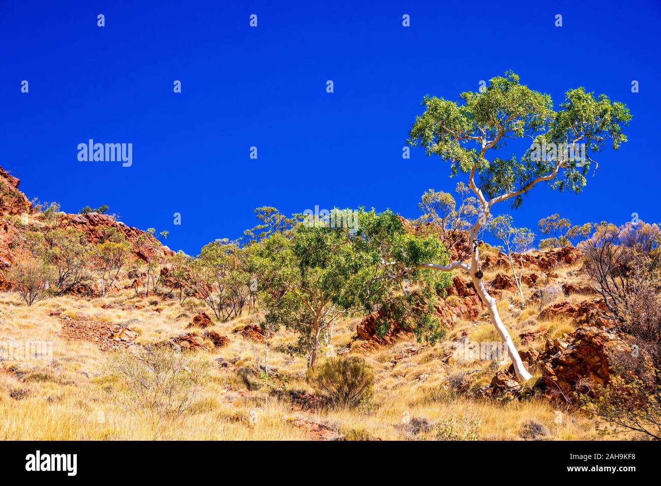 Redbank Gorge is a gap in the West MacDonnell Ranges in the Northern ...
