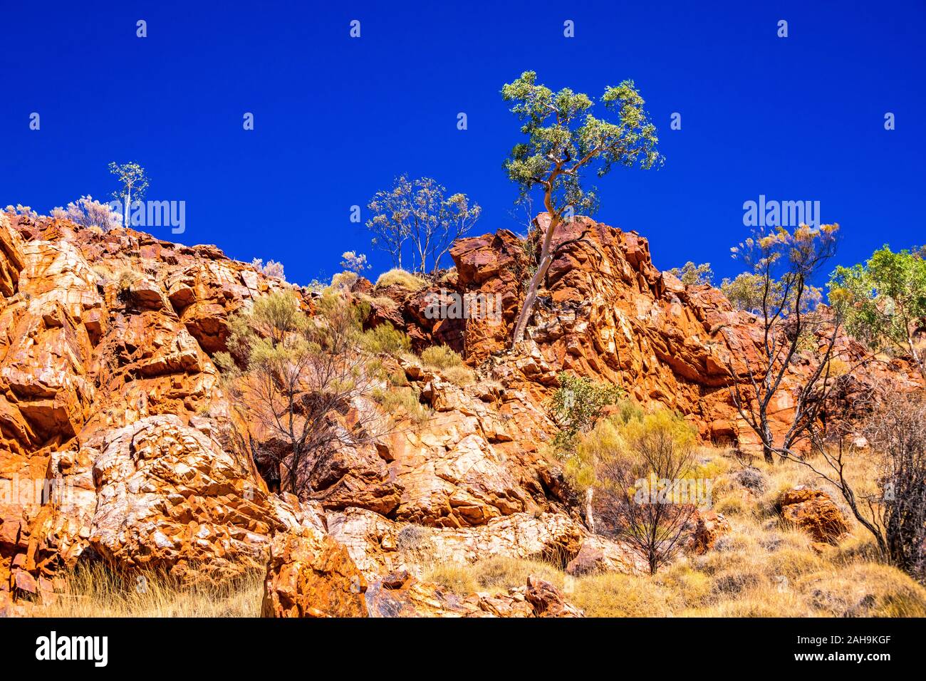 Redbank Gorge is a gap in the West MacDonnell Ranges in the Northern ...