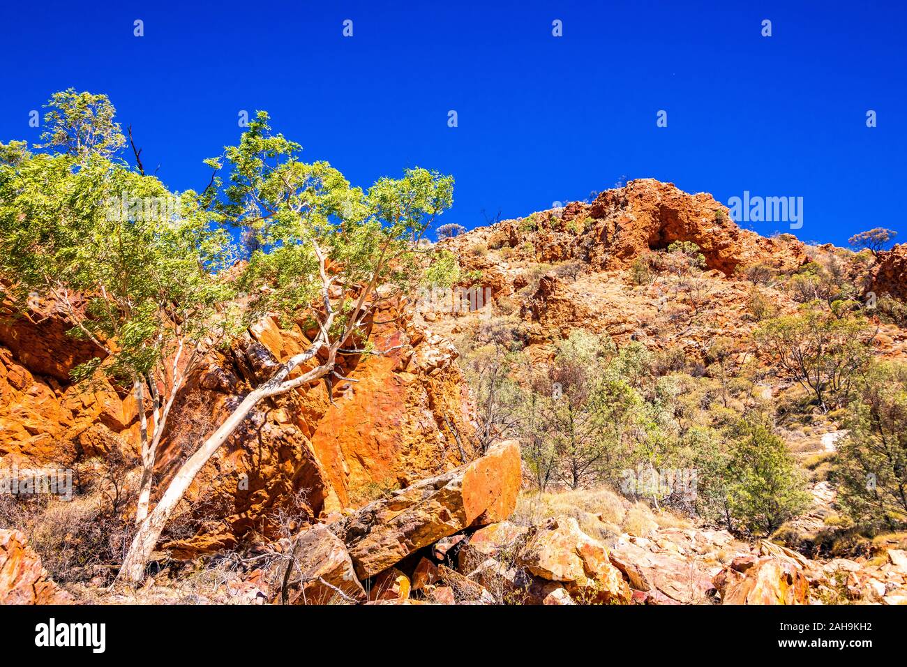 Redbank Gorge is a gap in the West MacDonnell Ranges in the Northern ...