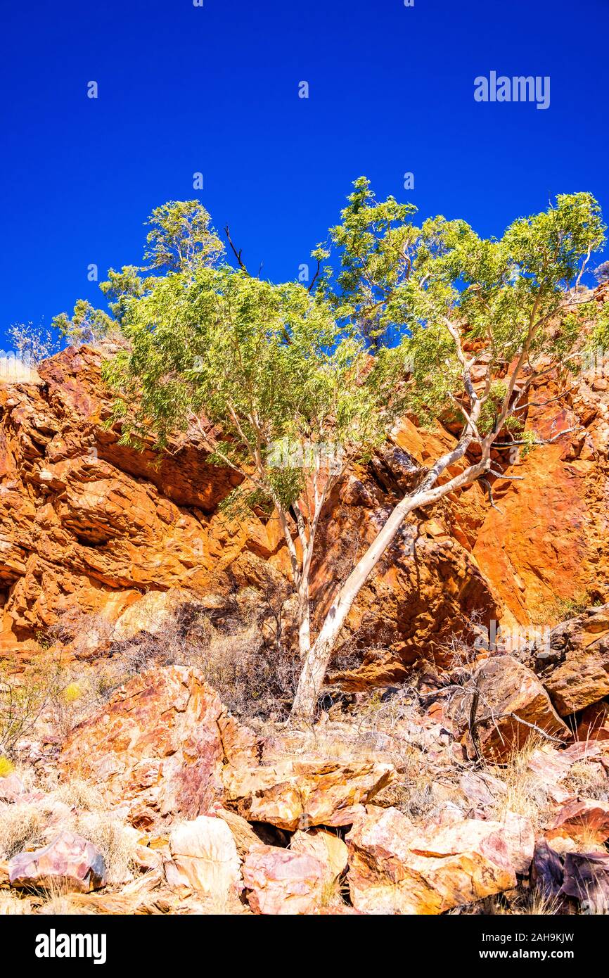 Redbank Gorge is a gap in the West MacDonnell Ranges in the Northern ...