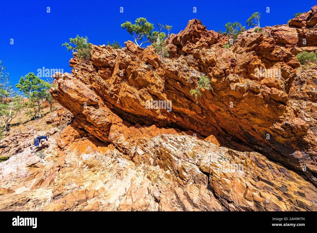 Redbank Gorge is a gap in the West MacDonnell Ranges in the Northern ...