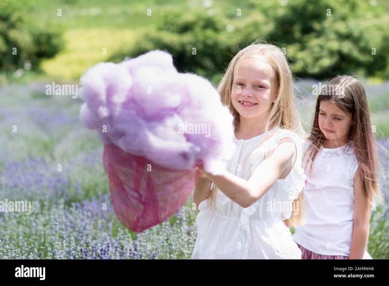 Children in lavender field catching cloud of wool. kids fantasy ...