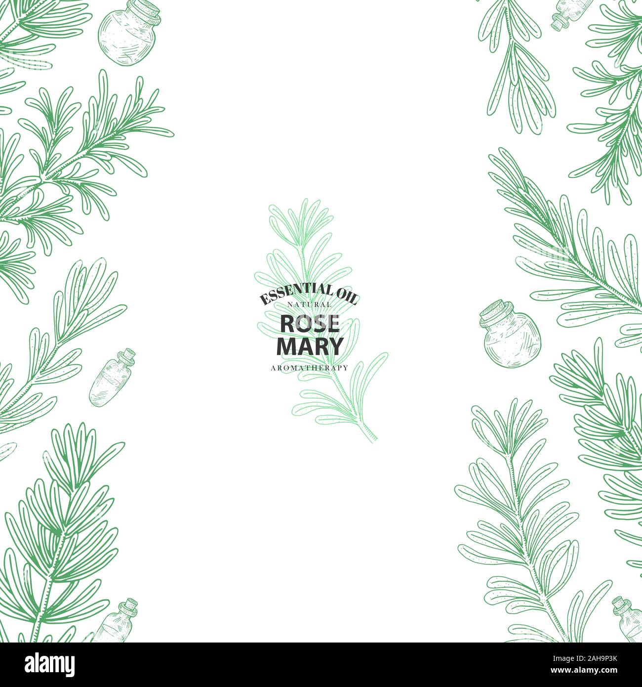 Rosemary. Vector hand drawn herbal background. Aromatherapy banner ...