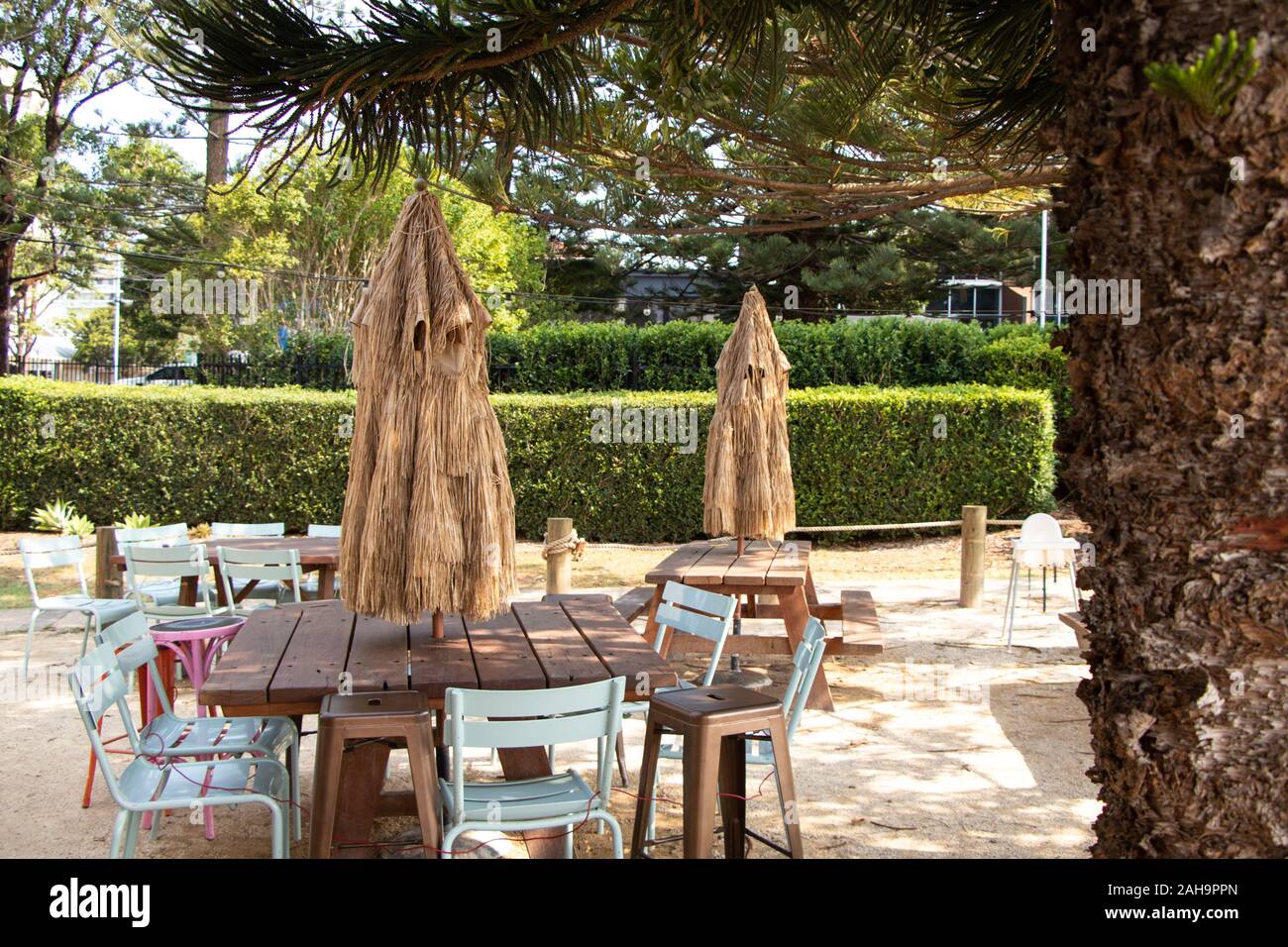 closed straw sun shades on tables in cafe with green hedge background ...