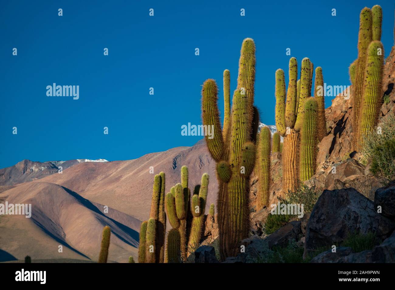 Guatin canyon hi-res stock photography and images - Alamy