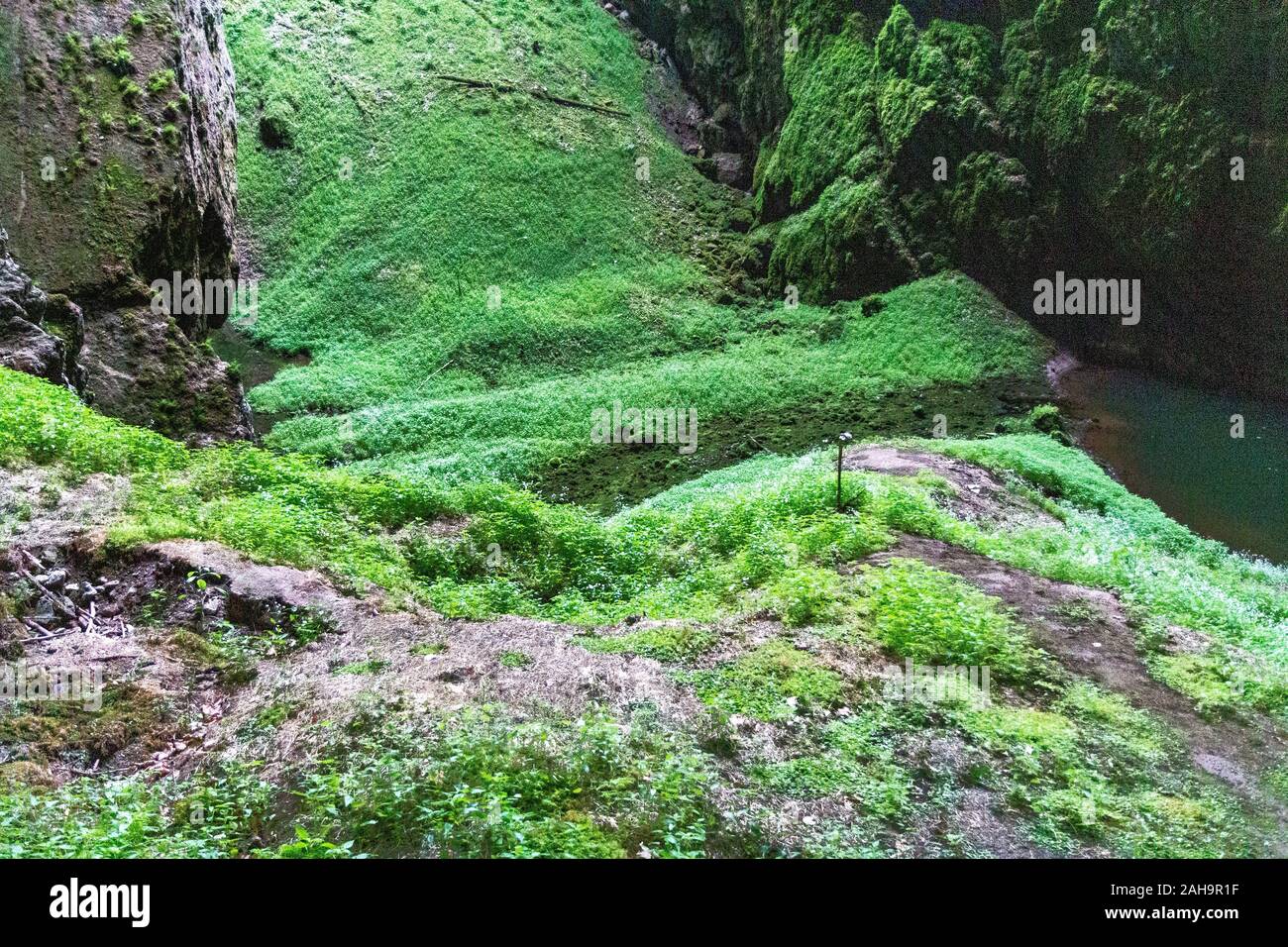 The Macocha Abyss, also known as the Macocha Gorge, is a sinkhole in ...
