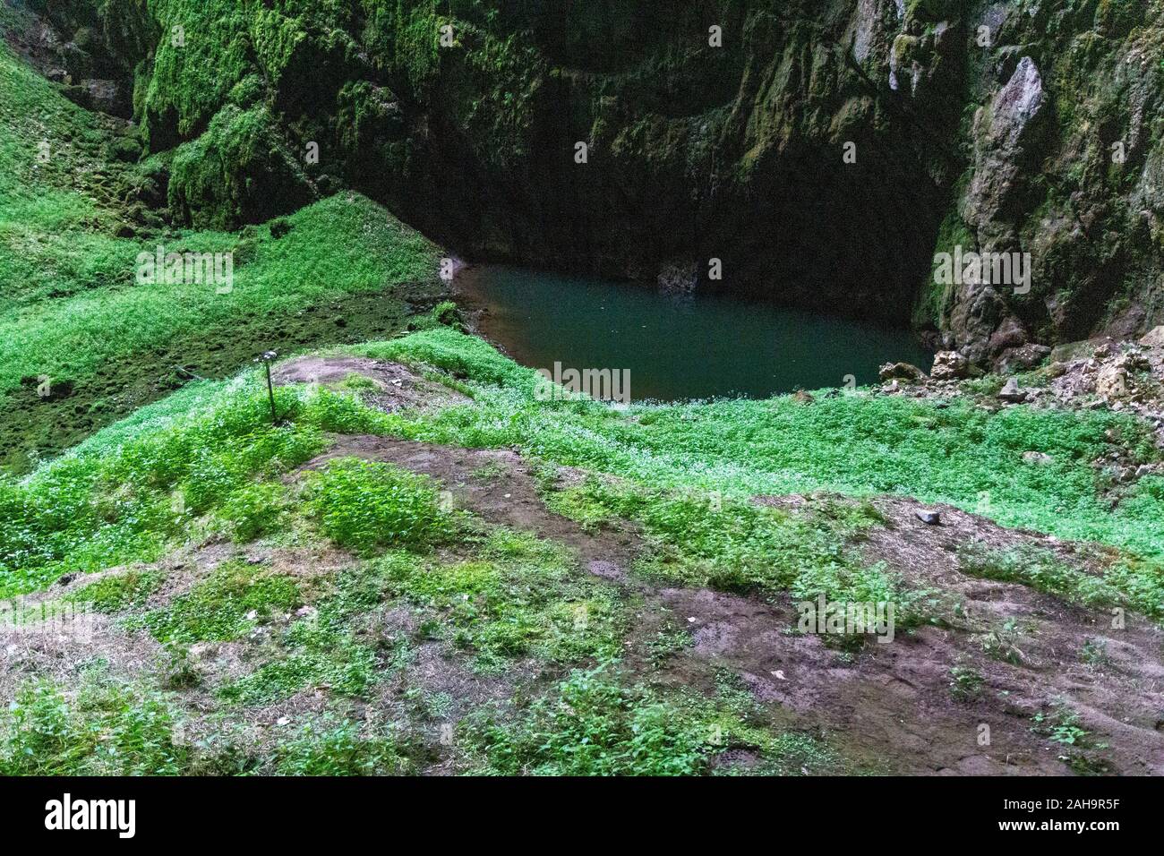 The Macocha Abyss, also known as the Macocha Gorge, is a sinkhole in ...