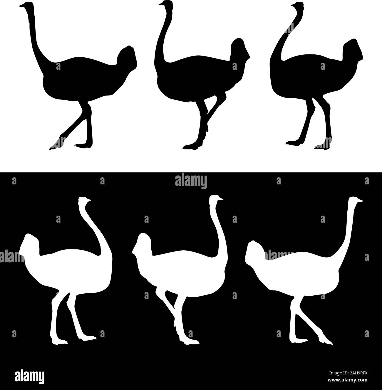 Ostrich silhouettes. Vector illustration Stock Vector Image & Art - Alamy