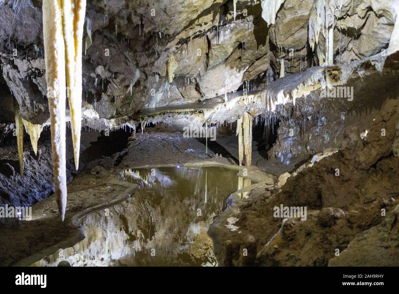 The Macocha Abyss, also known as the Macocha Gorge, is a sinkhole in ...
