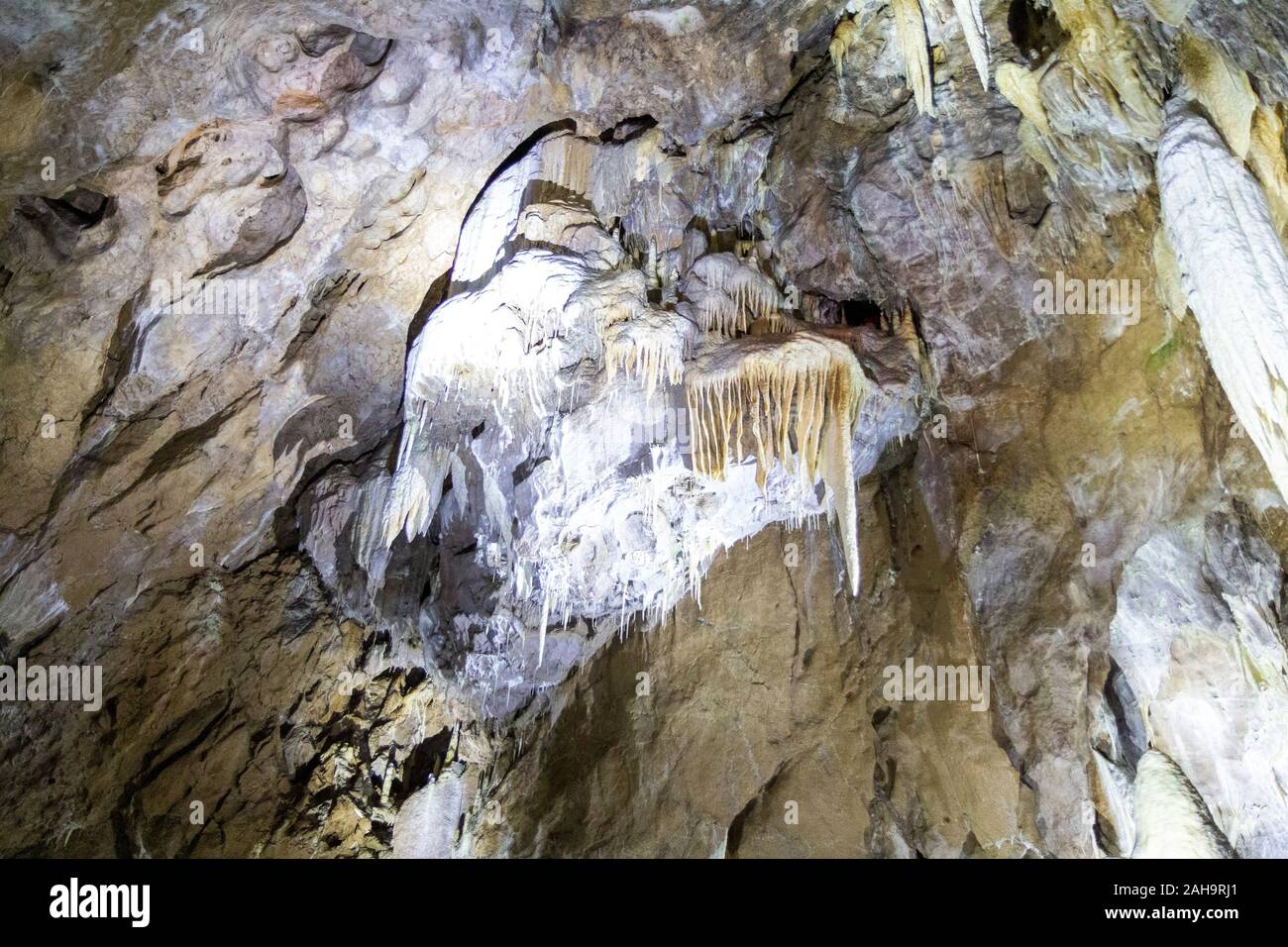The Macocha Abyss, also known as the Macocha Gorge, is a sinkhole in ...