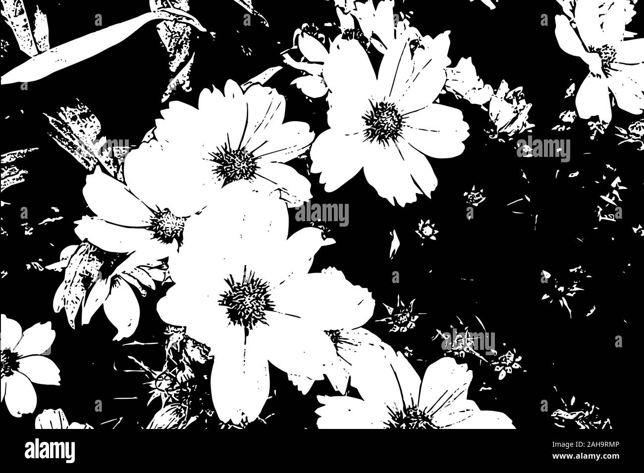 Rough plant Stock Vector Images - Alamy