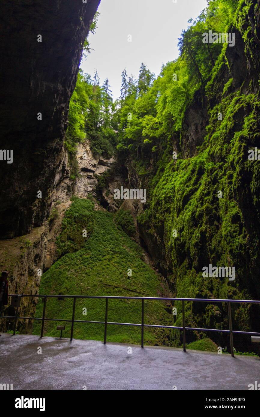 The Macocha Abyss, also known as the Macocha Gorge, is a sinkhole in ...