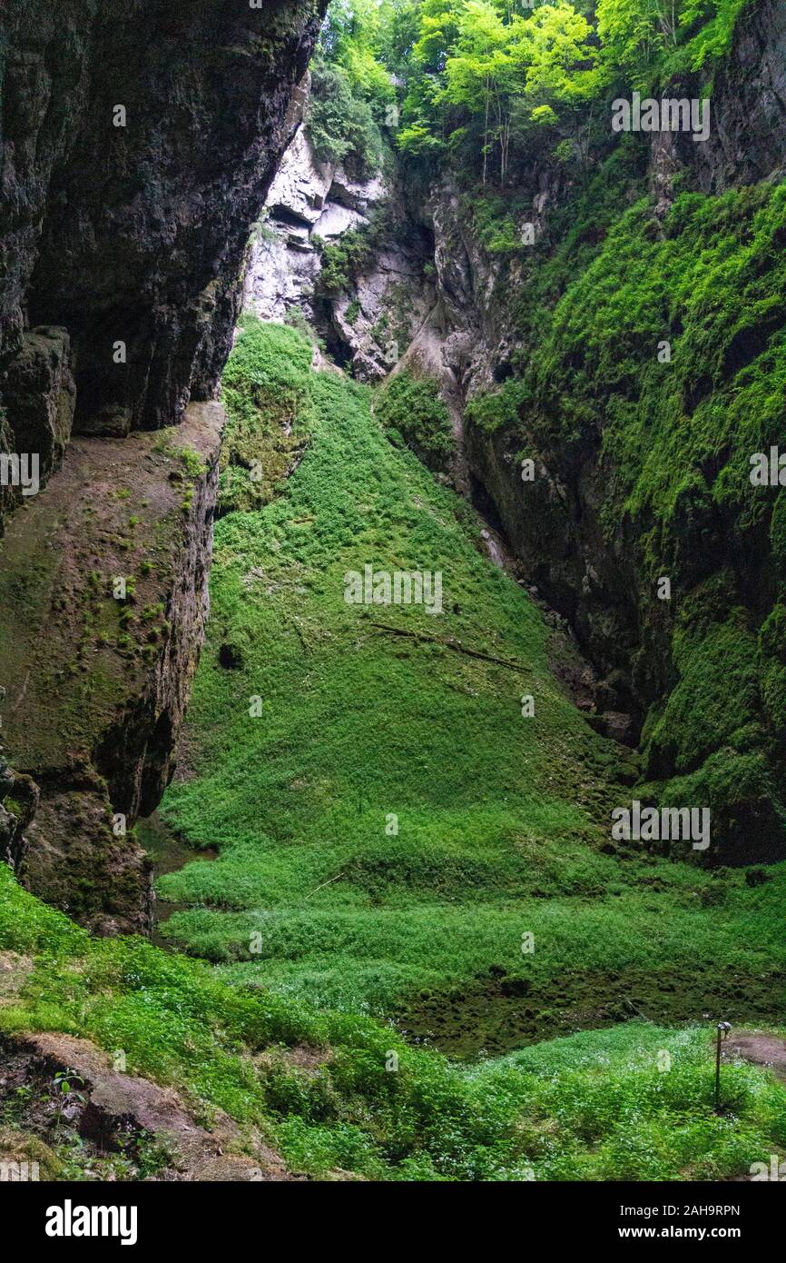 The Macocha Abyss, also known as the Macocha Gorge, is a sinkhole in ...