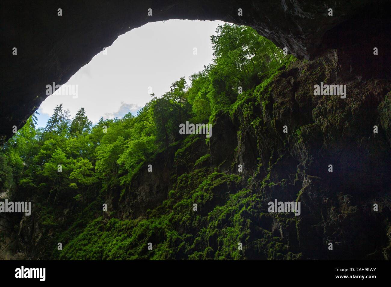 The Macocha Abyss, also known as the Macocha Gorge, is a sinkhole in ...