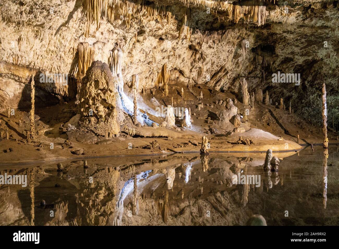 The Macocha Abyss, also known as the Macocha Gorge, is a sinkhole in ...