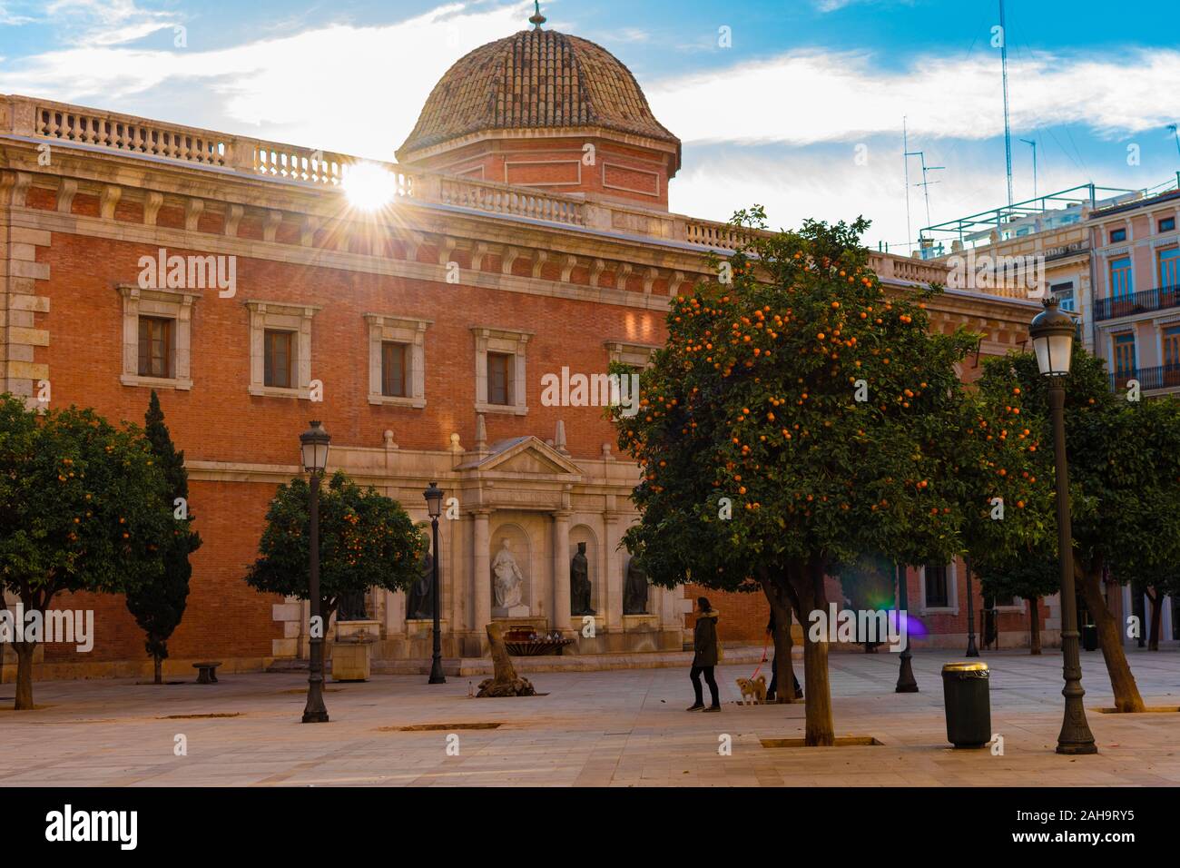 Valencia orange square hi-res stock photography and images - Alamy