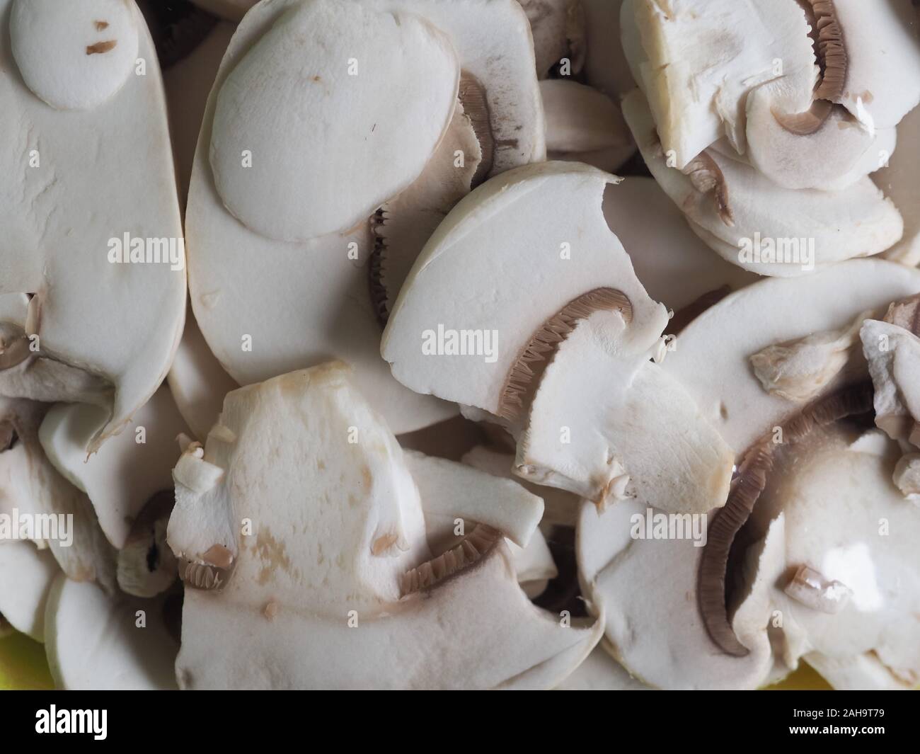 agaricus bisporus aka champignons mushrooms food useful as a background ...