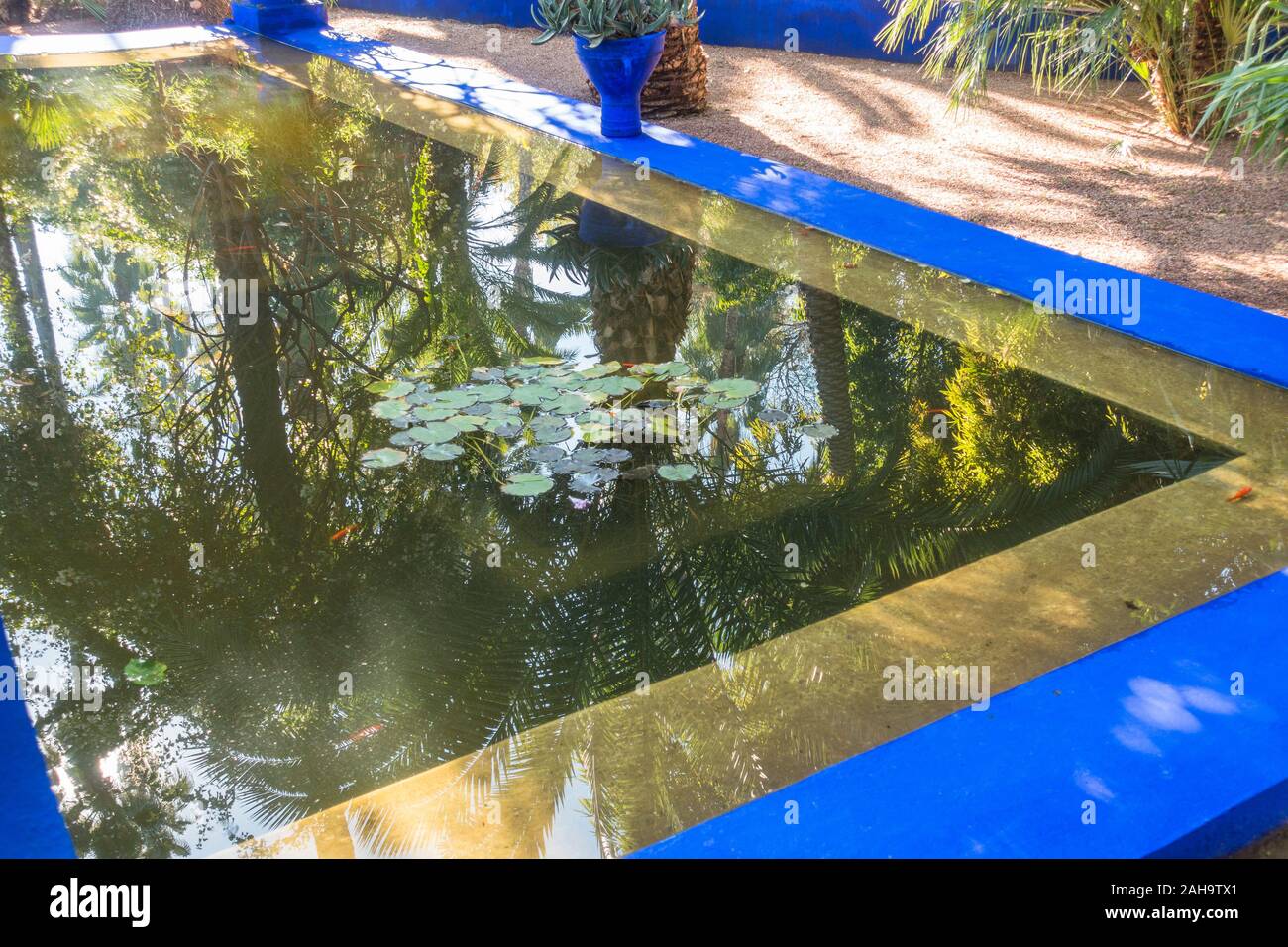 Jardin Majorelle, Majorelle garden.Water lily pool, Yves Saint Laurent ...