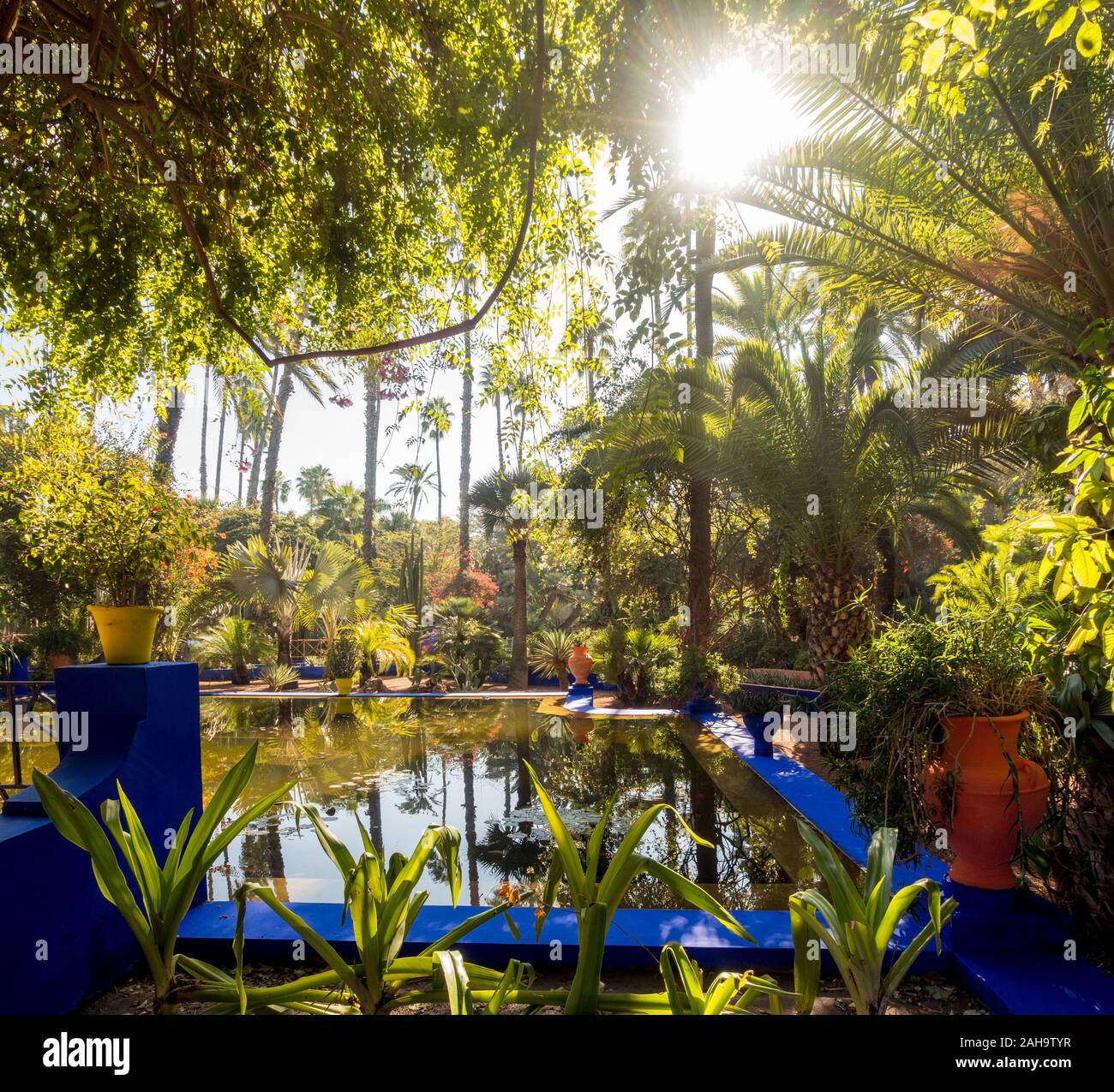 Jardin Majorelle, Majorelle garden.Water lily pool, Yves Saint Laurent ...