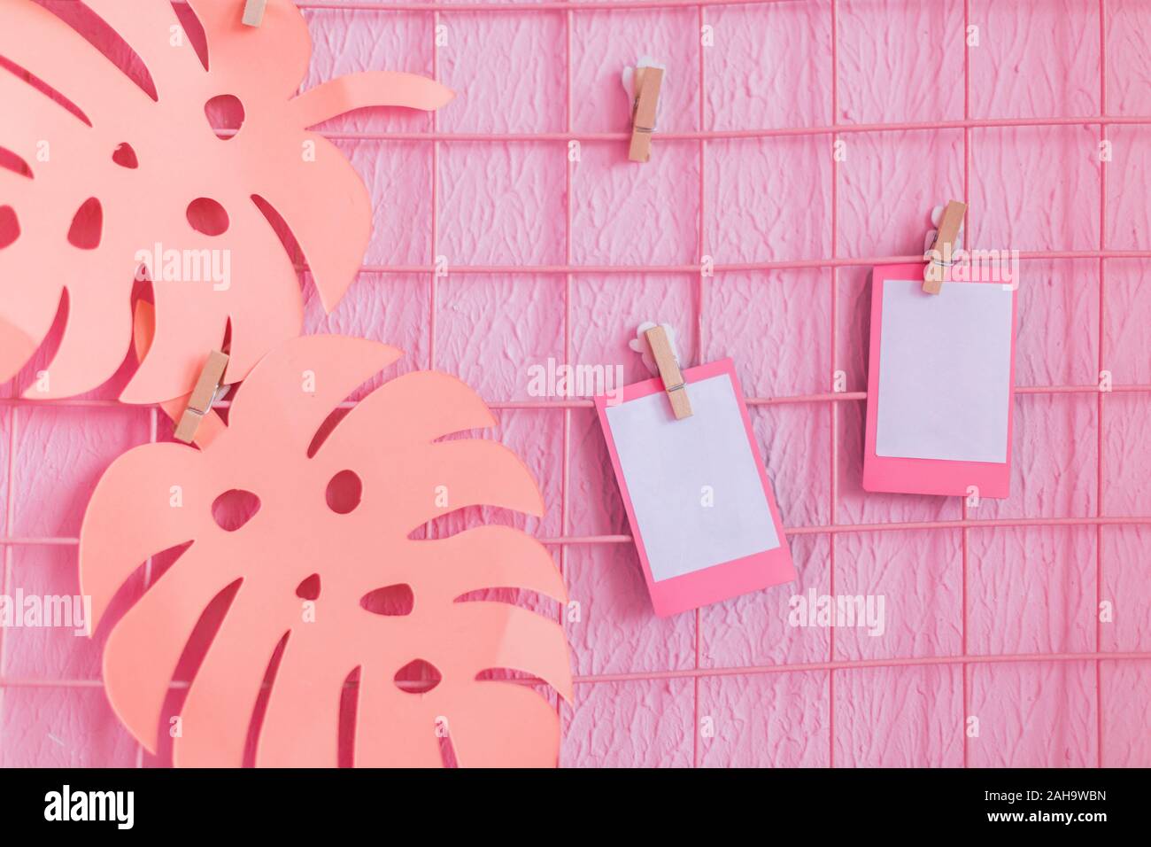 Two blank photos on a pink wall to insert. Blank for inserting photos ...