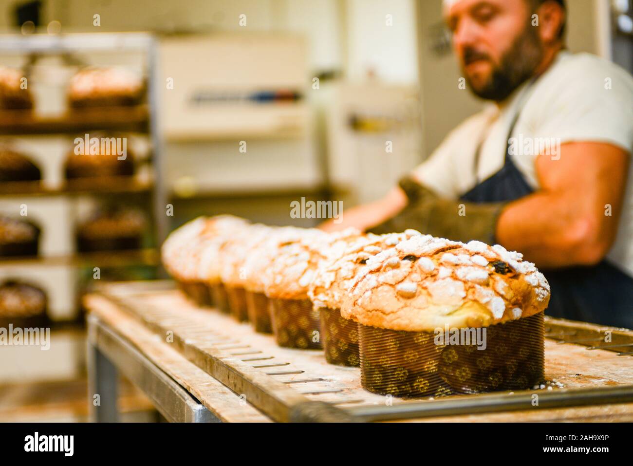 Pastry chef Baking sweet cake panettone for christmas season Stock ...