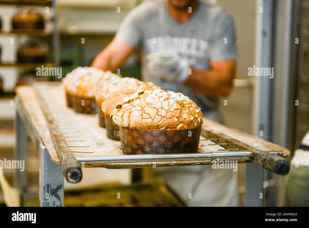 Pastry chef Baking sweet cake panettone for christmas season Stock ...