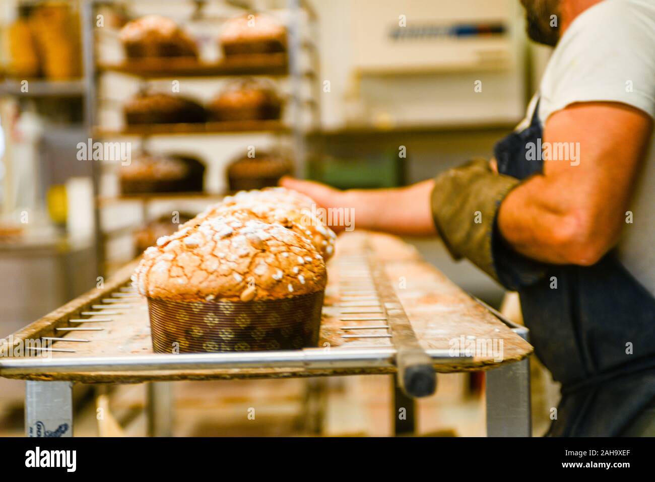 Pastry chef Baking sweet cake panettone for christmas season Stock ...
