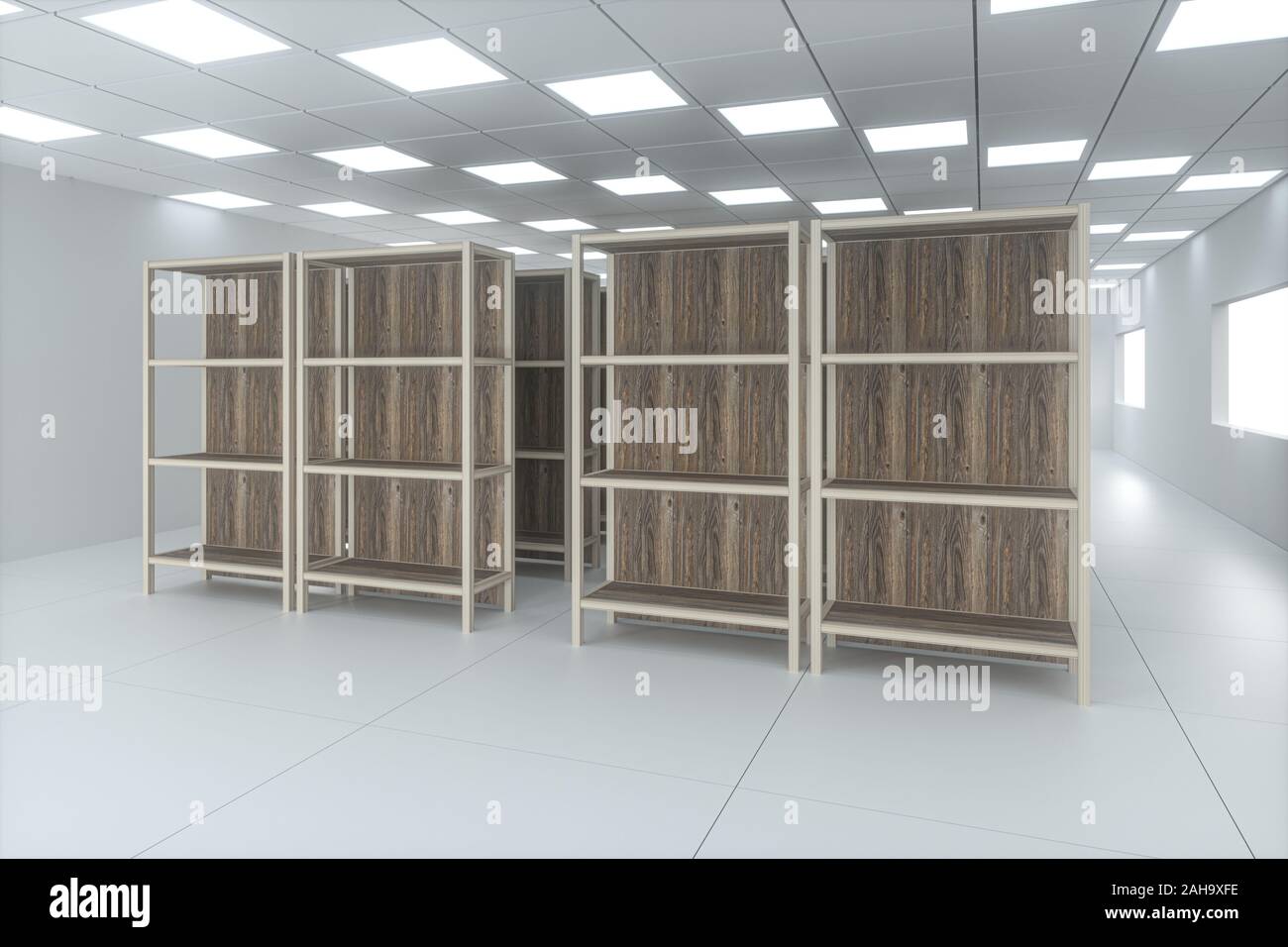 Rows of bookshelves in the bright room, 3d rendering.Computer digital ...