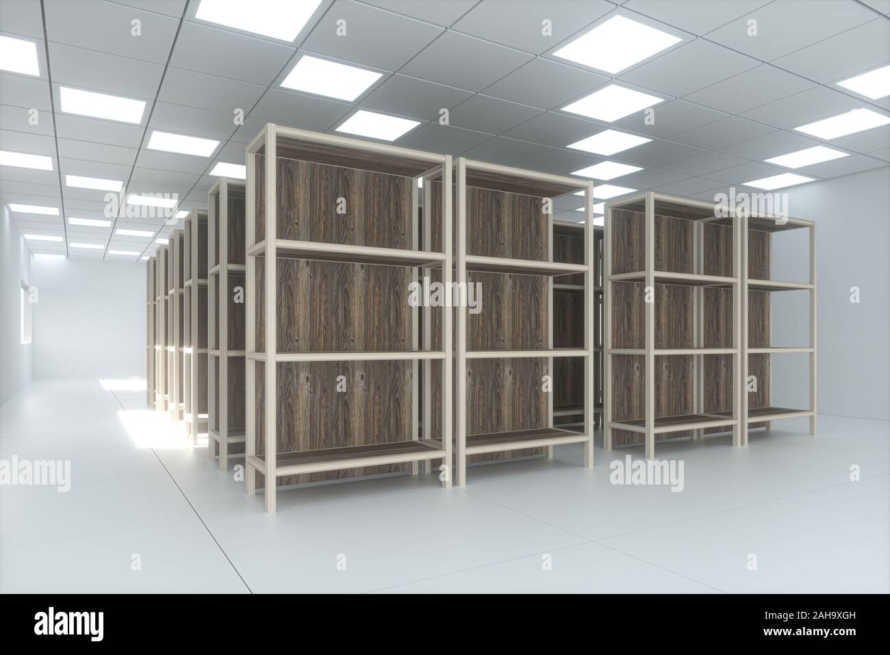 Rows of bookshelves in the bright room, 3d rendering.Computer digital ...