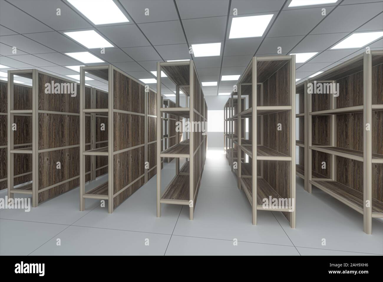 Rows of bookshelves in the bright room, 3d rendering.Computer digital ...