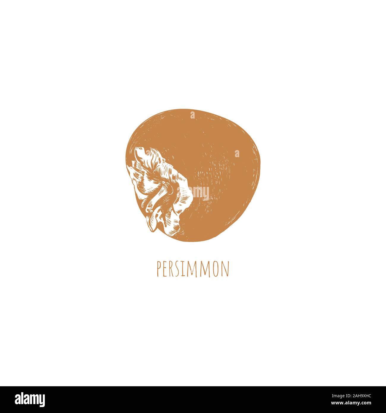 Illustration drawing sketch orange Stock Vector Images - Alamy