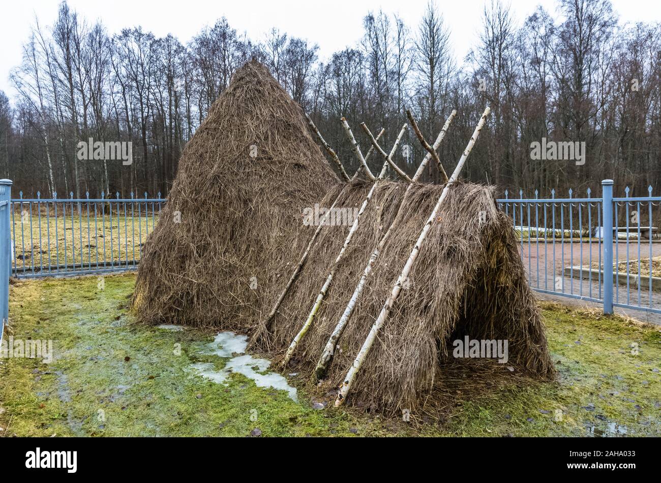 Lenin's hut near lake Razliv, Leningrad region, Russia Stock Photo - Alamy