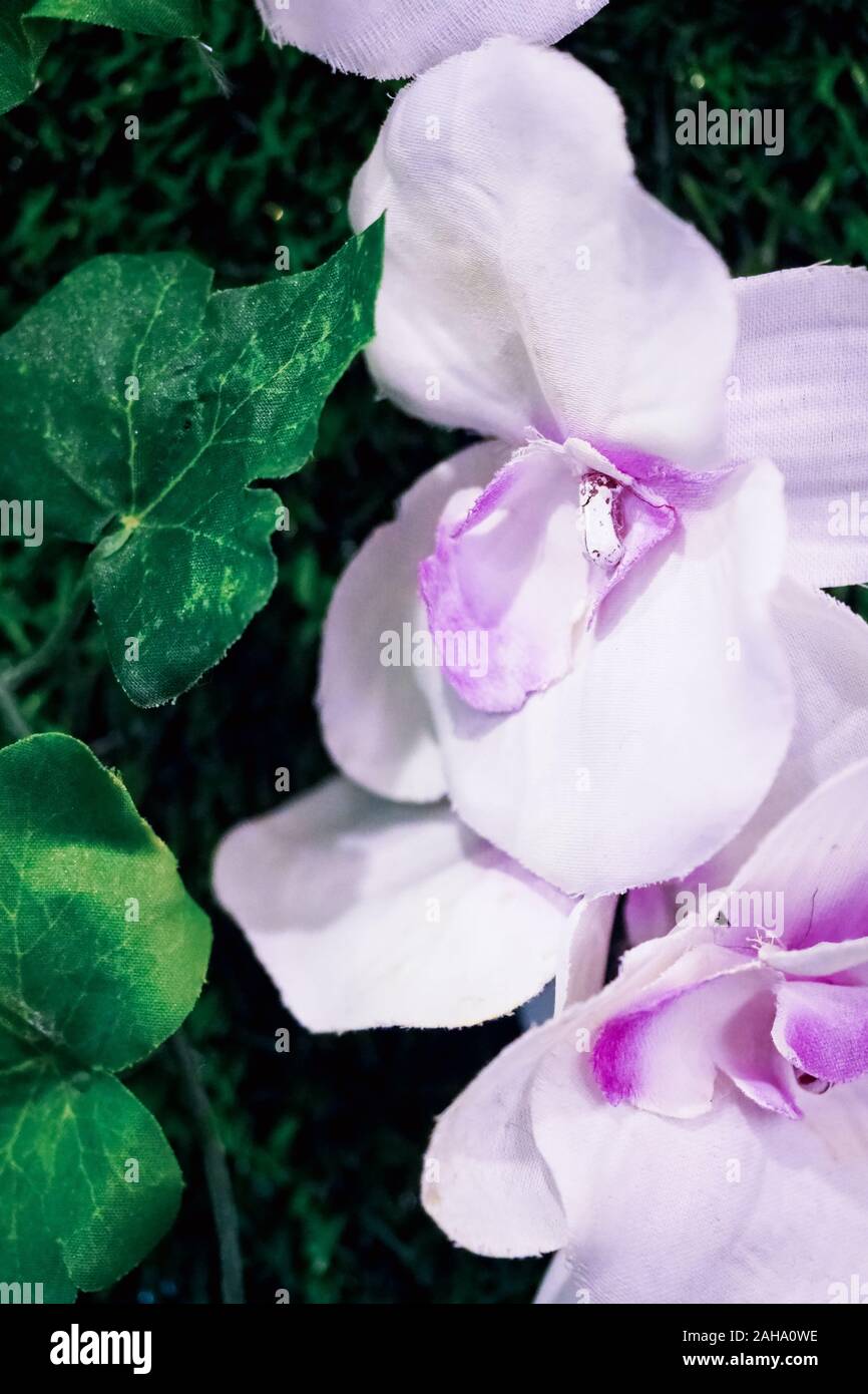 Colorful silk artificial flowers background Stock Photo - Alamy