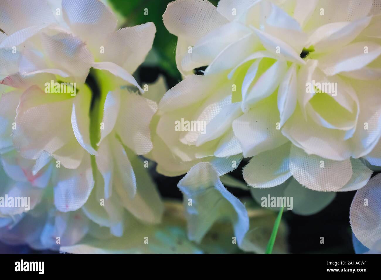 Colorful silk artificial flowers background Stock Photo - Alamy