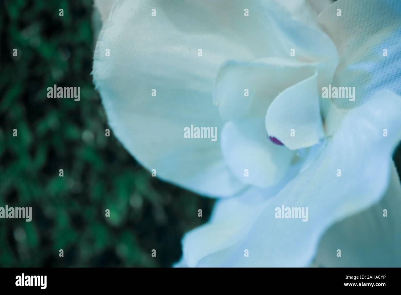 Colorful silk artificial flowers background Stock Photo - Alamy