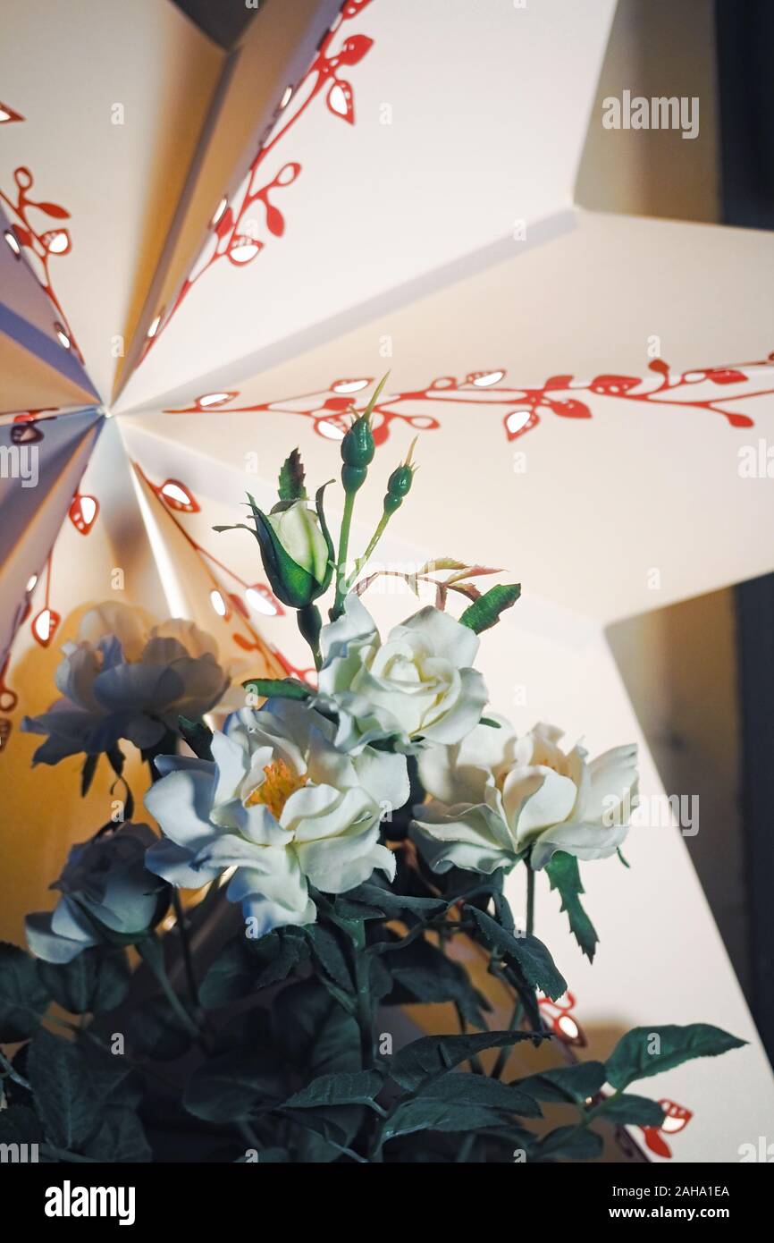 Colored paper star decoration with artificial silk flowers christmas ...