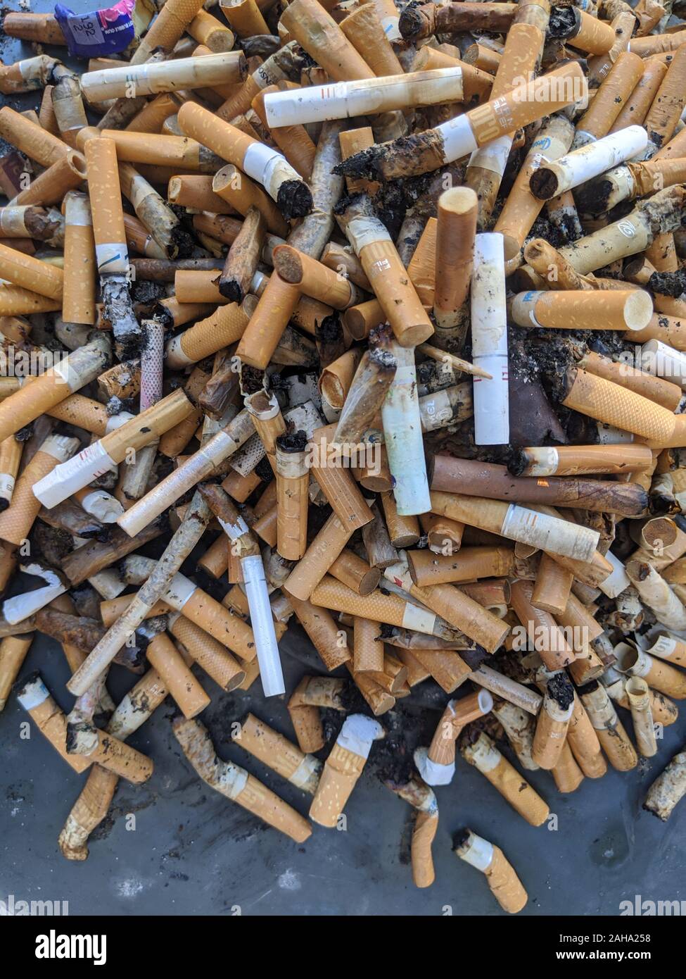 disgusting trash, cigarette litter in urban location Stock Photo - Alamy