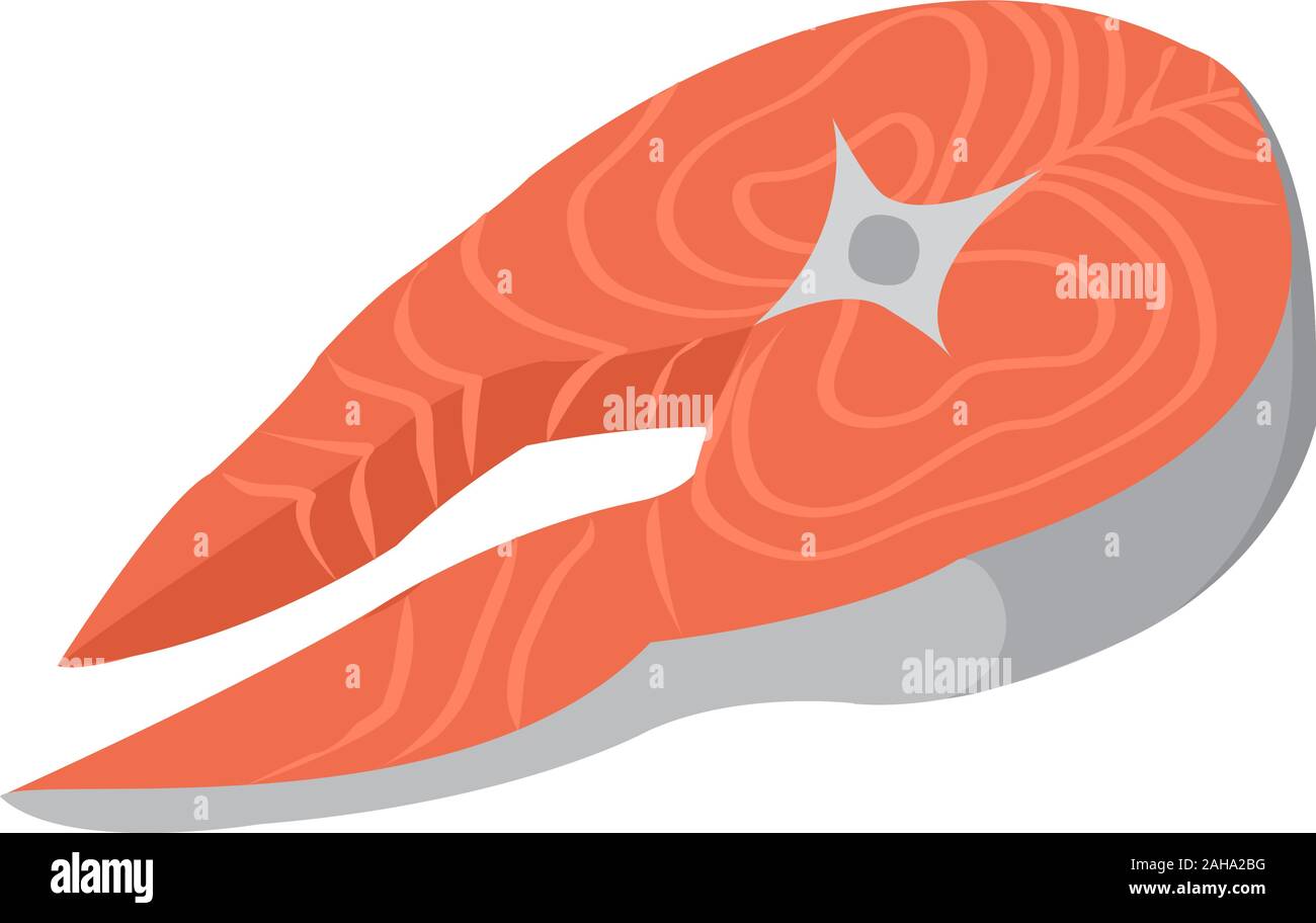 Slice of a salmon fish raw prepared for cooking vector illustration on ...