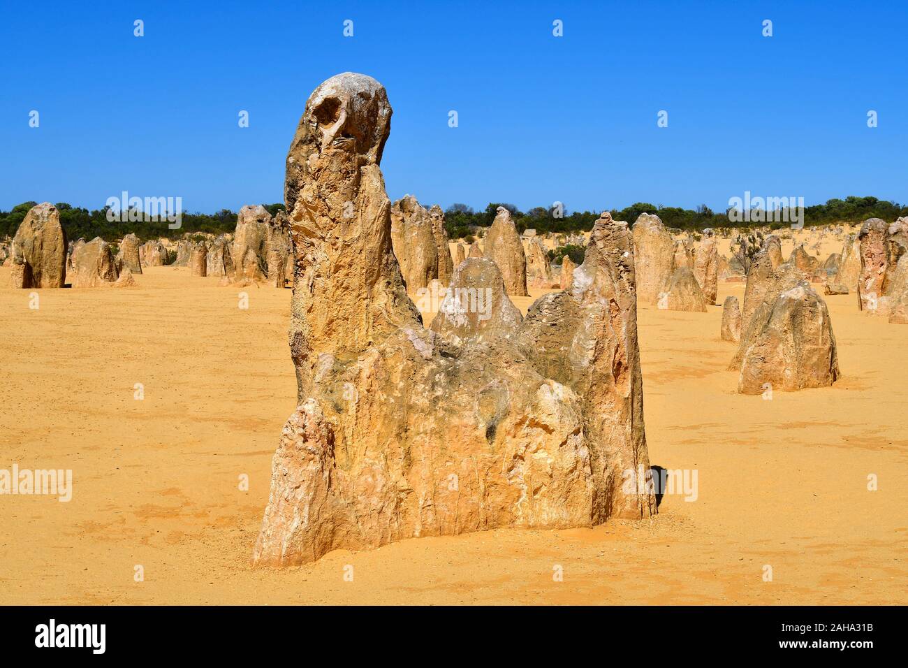Australia, WA, The Pinnacles in Nambung National Park, preferred ...
