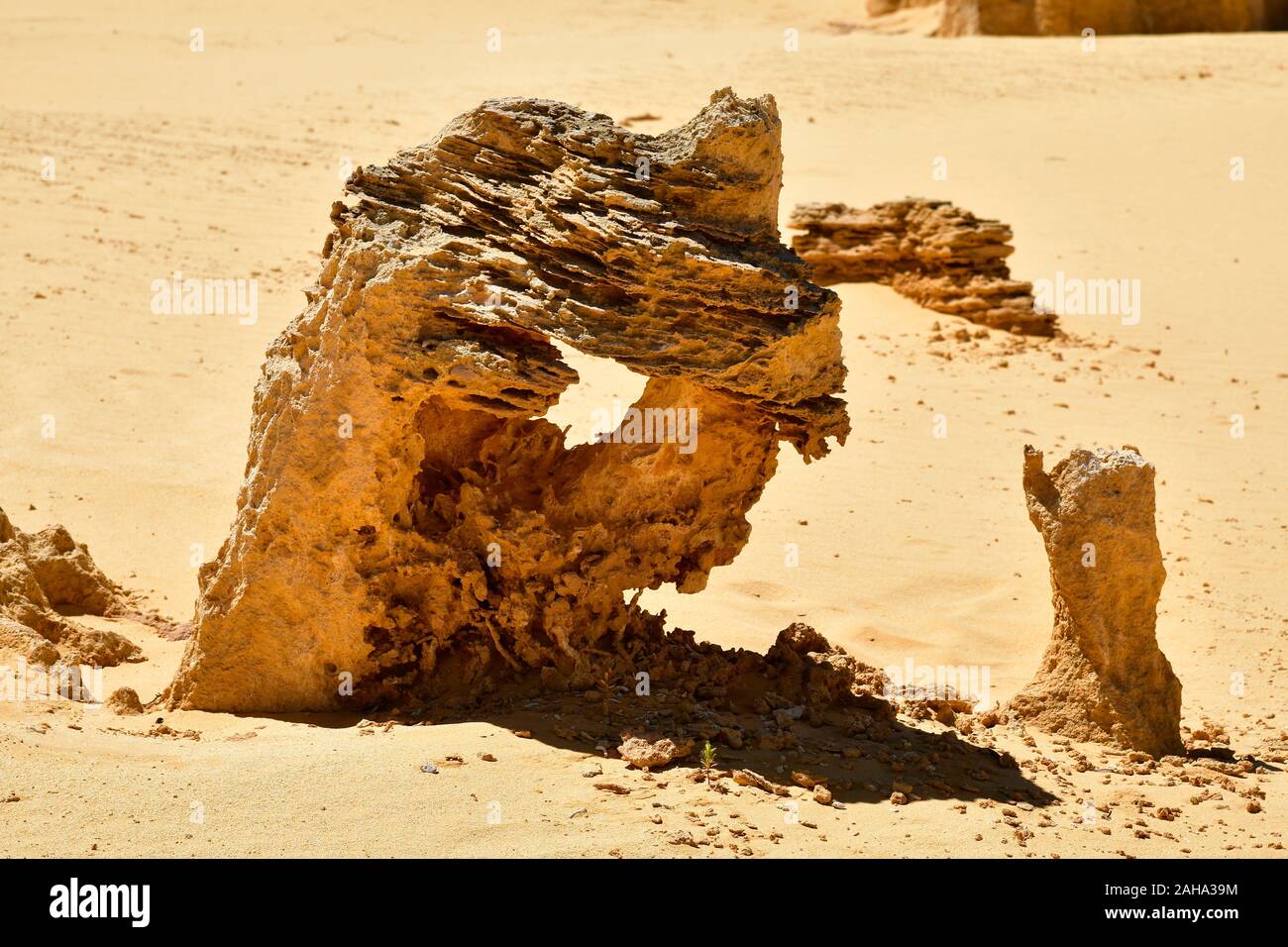 Australia, WA, The Pinnacles in Nambung National Park, preferred ...