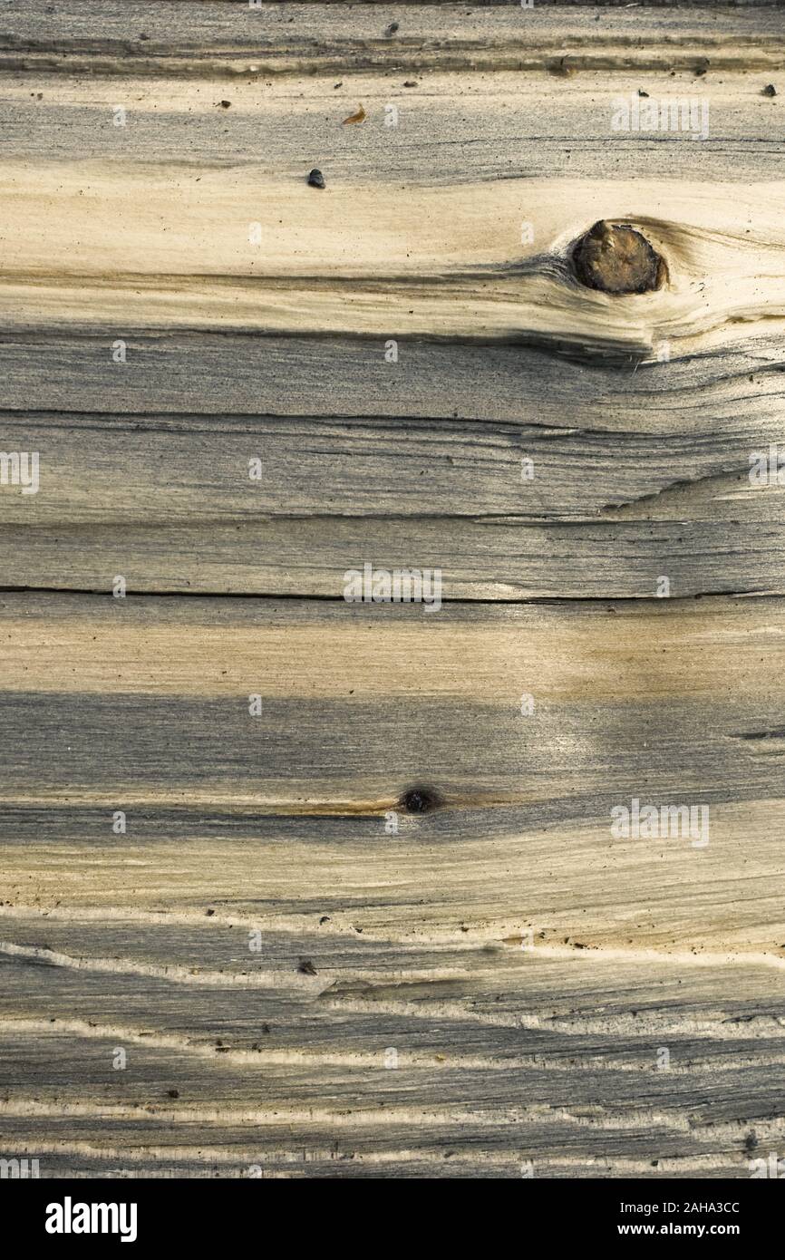 Texture of natural wood in summer forest background Stock Photo - Alamy