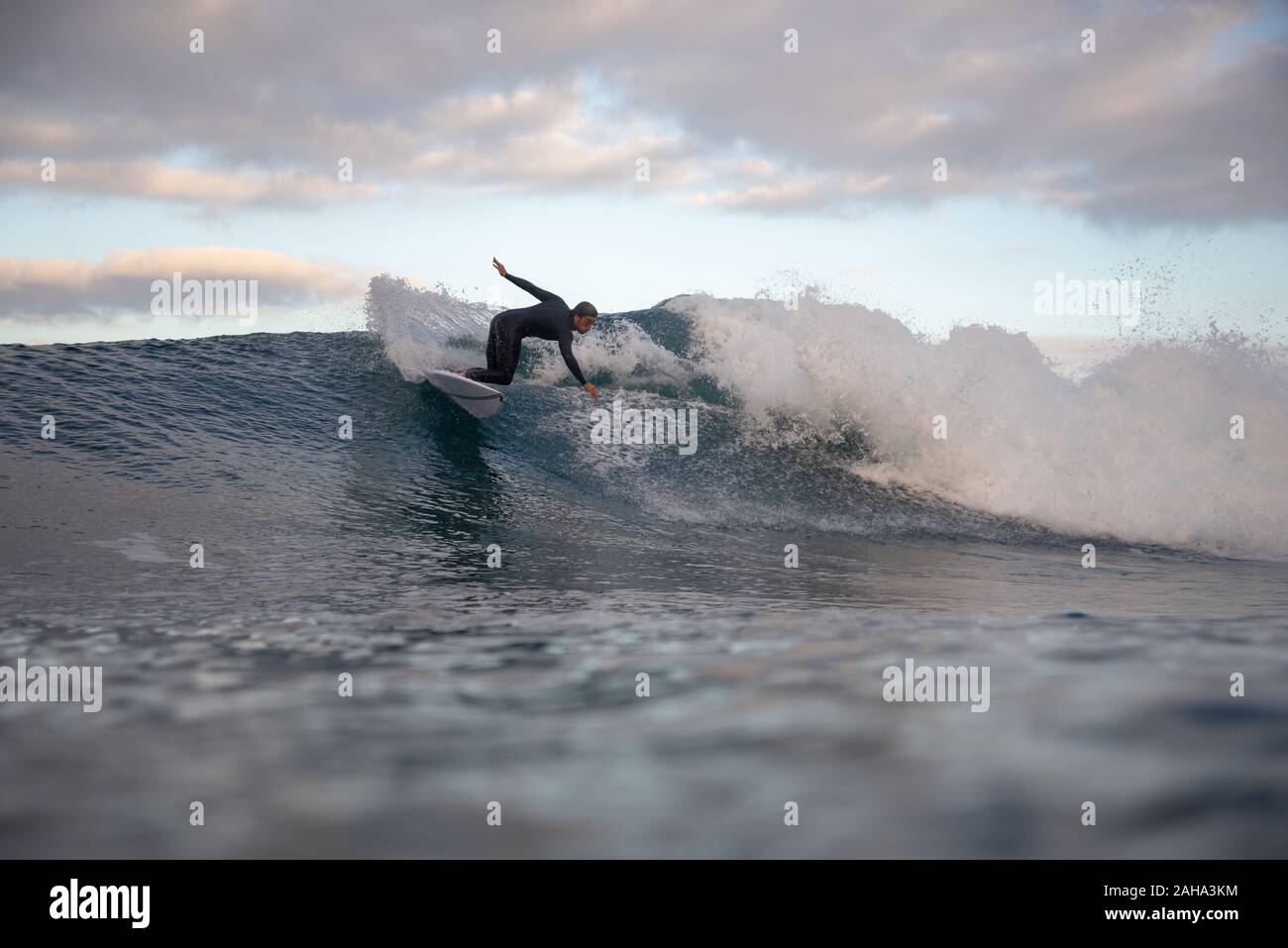 Surfer riding waves on the island of fuerteventura Stock Photo - Alamy