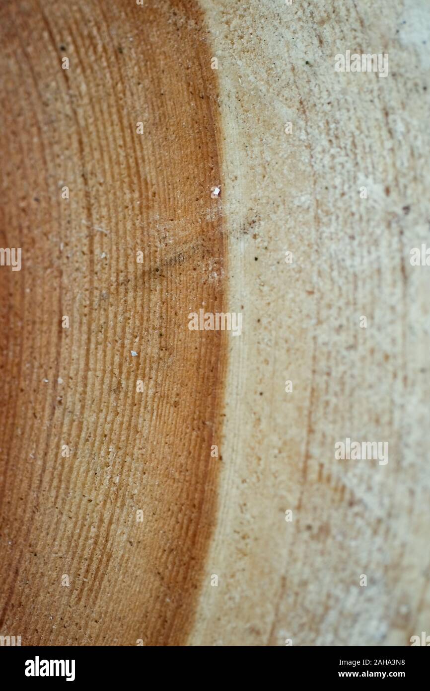 Pine tree log cross section close-up timber background Stock Photo - Alamy