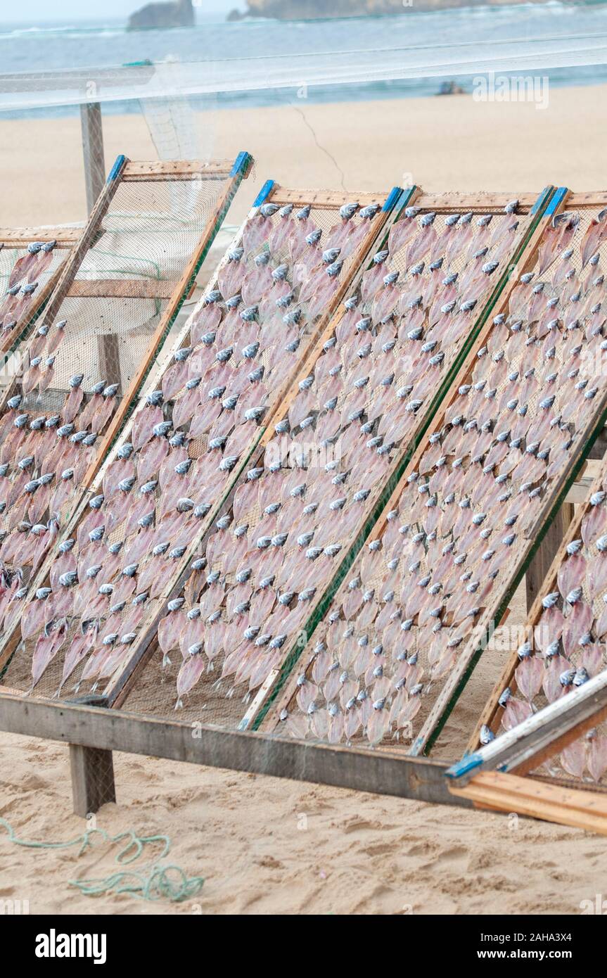 Portuguese fish hi-res stock photography and images - Alamy