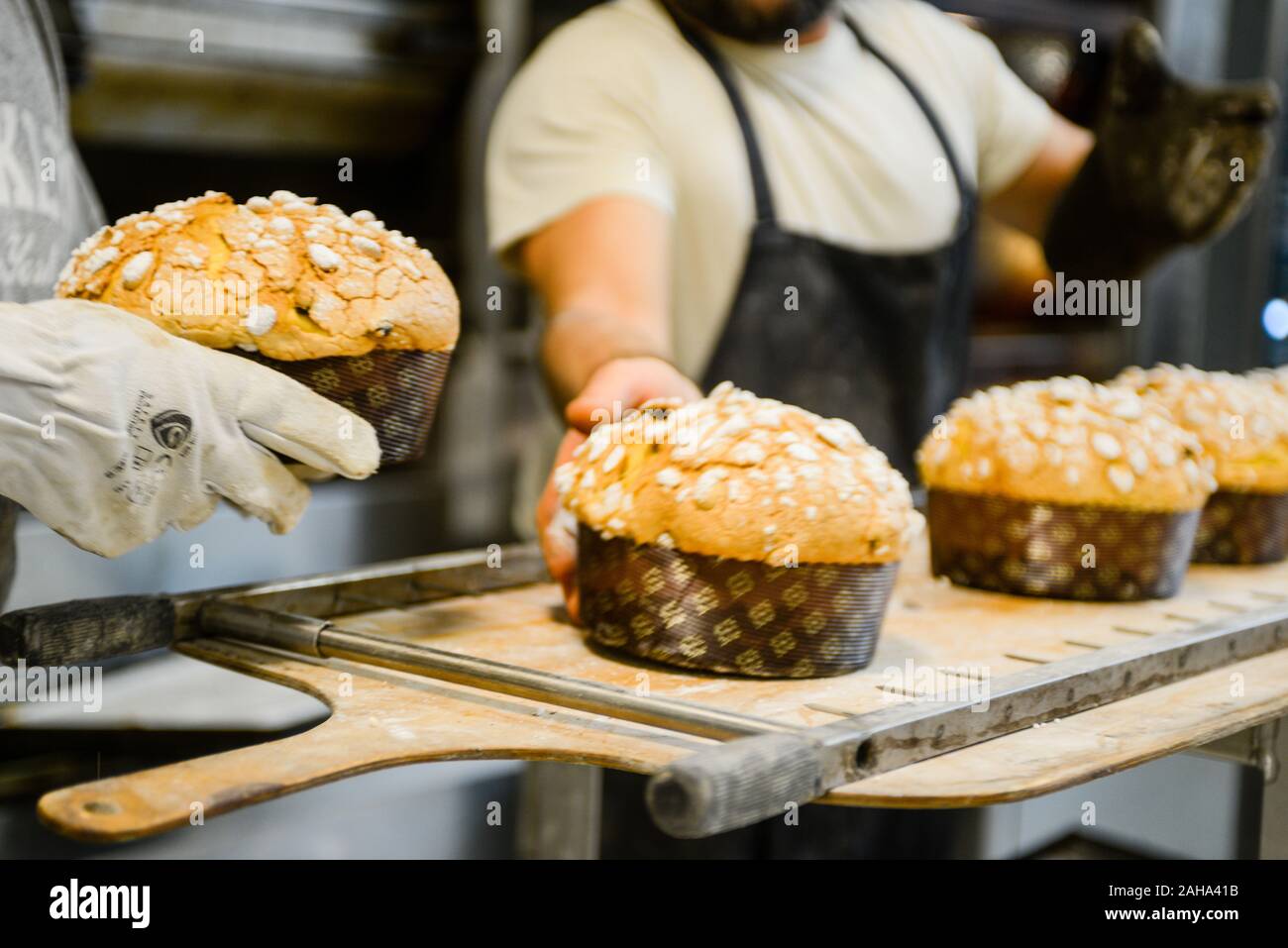 Italian pastry chef Baking Panettone sweet italian cake Stock Photo - Alamy