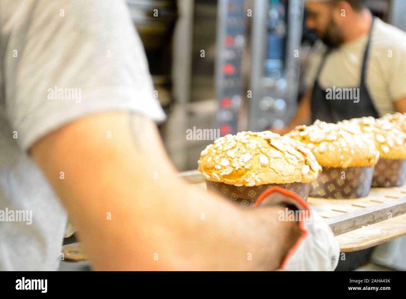 Italian pastry chef Baking Panettone sweet italian cake Stock Photo - Alamy
