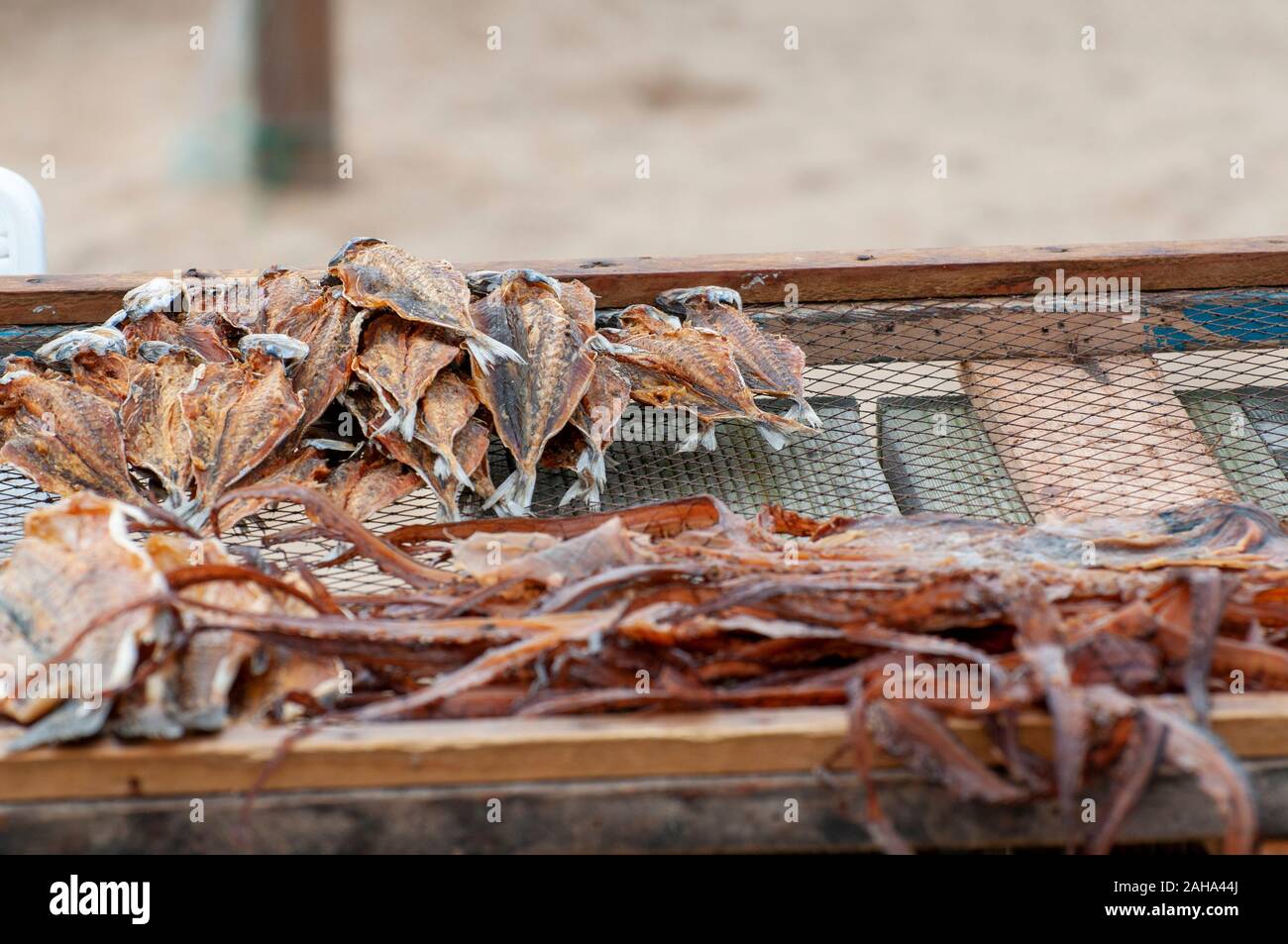 In order to preserve the fish Portuguese Fishermen dry the fish in the ...