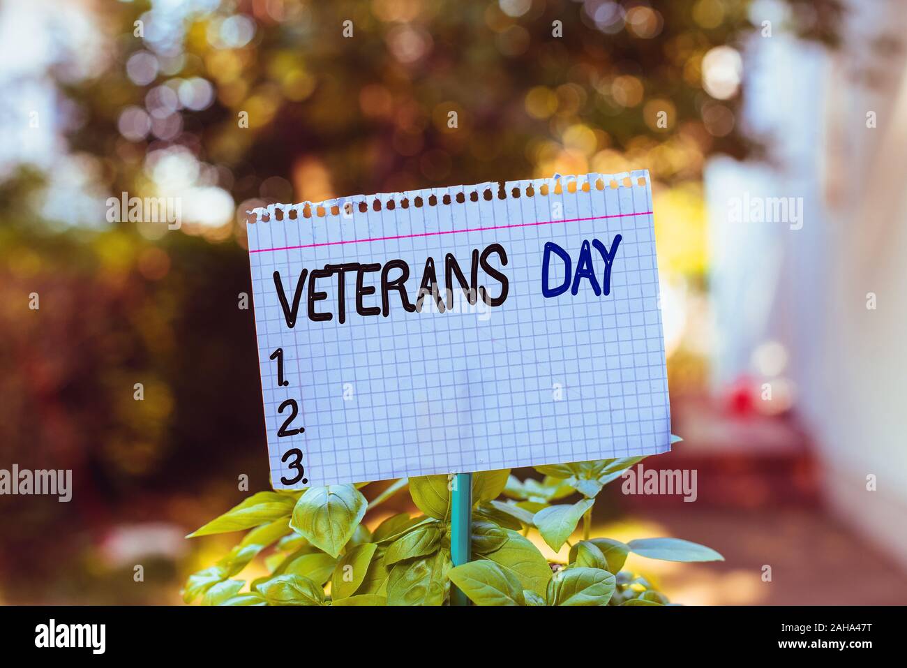Text sign showing Veterans Day. Business photo showcasing a public ...