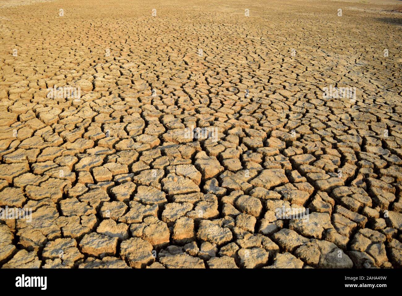Dry soil texture, texture detail from cracked soil Stock Photo - Alamy